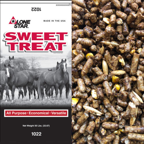 Horse – Lonestar Feed