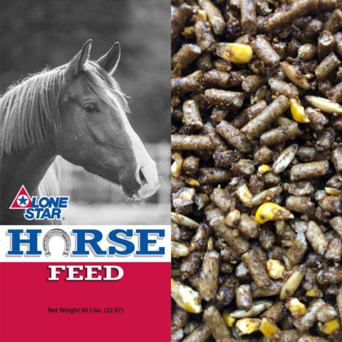 1024 – 12% Sweet Treat – Lonestar Feed